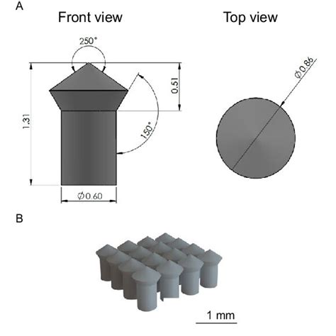 Custom Built Mask Projection Based VPP Setup 3 Download Scientific Diagram
