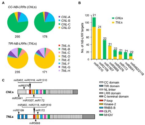 Putative Nucleotide Binding Site Leucine Rich Repeat Nb Lrr Targets Download Scientific