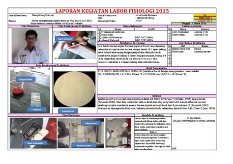 Pdf Laporan Menghitung Eritrosit