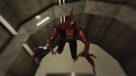 Multitudinal Mania Youtube