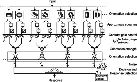 Schematic Illustration Of A Model For Visual Discrimination Of Pattern Download Scientific