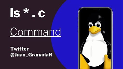 Understanding Ls C Command Linux