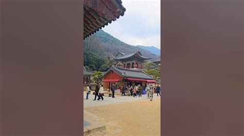 몇번을 봐도 질리지 않는 화엄사 풍경이 좋다면 두번터치 Youtube
