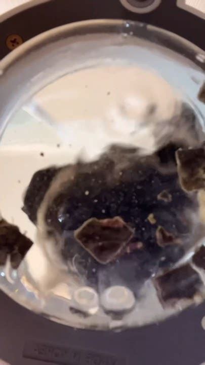 물에 빠진 고기 구해주기 Youtube