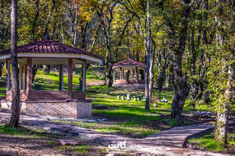 جنگل سی سنگان کجاست؟ راه های دسترسی راهنمای سفر کایت