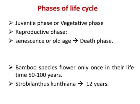 Reproduction In Organisms Life Cycle Phases Asexual And Sexual Reproduction Events Of Sexual