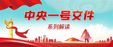 中央一号文件系列解读①｜立足国情农情加快建设农业强国中央一号文件乡村振兴新浪新闻