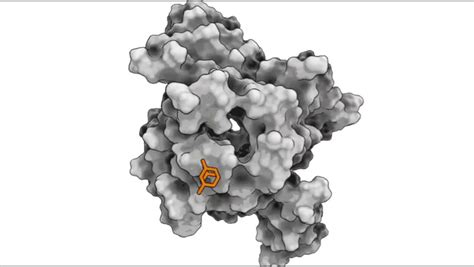 Mohsen Yazdani On Linkedin Molecular Docking Services