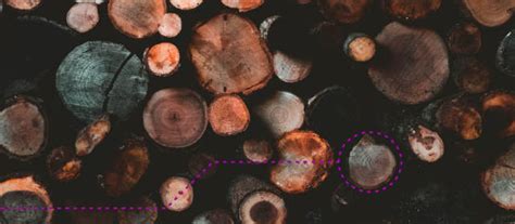 Read Logs For A Kubernetes Pod