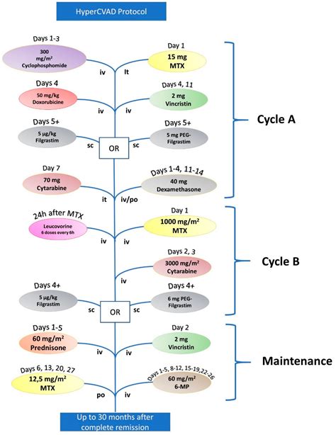 Approach To The Adult Acute Lymphoblastic Leukemia Patient