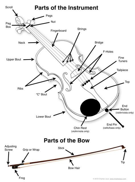 Violin Parts Diagram Strings Violin Viola Cello Department Of