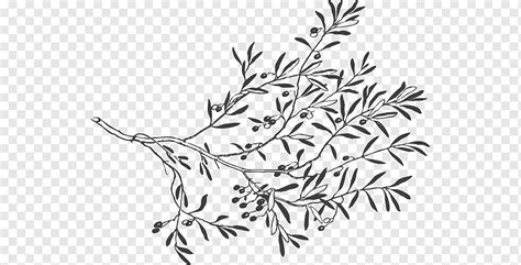 드로잉 분기 호흡이 과대 평가됨 잎 스케치 Png Pngwing