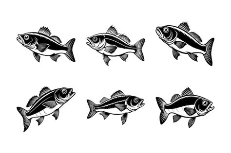 Черный силуэт голубиной птицы Векторная иллюстрация Премиум Ai сгенерированный вектор