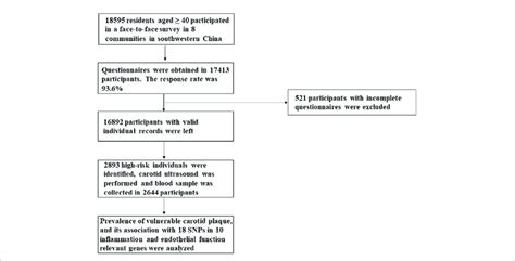 Flow Diagram Of The Data Preparing And Cleaning Process In This Study Download Scientific Diagram