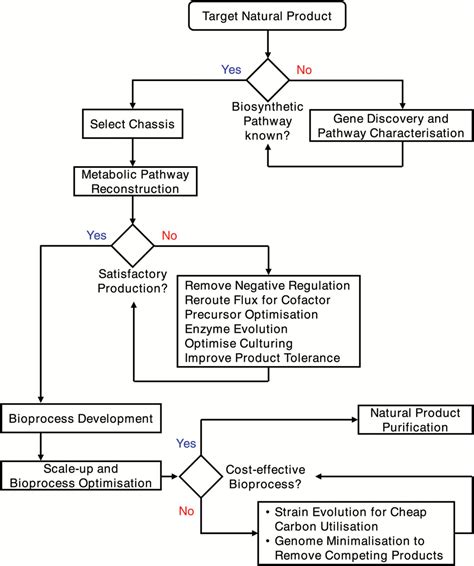 Review Synthetic Biology Approaches For The Production Of Plant