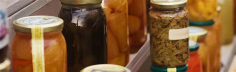 Pythonpickle Davelevy Info Wiki