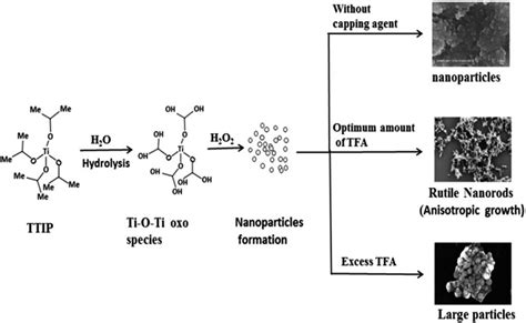 Mechanism For The Synthesis Of TiO 2 Nanoparticles And Nanorods Download Scientific Diagram