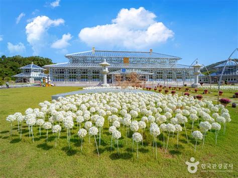 경주벚꽃명소를 알아보고 봄이 오면 벚꽃명소를 찾아보자