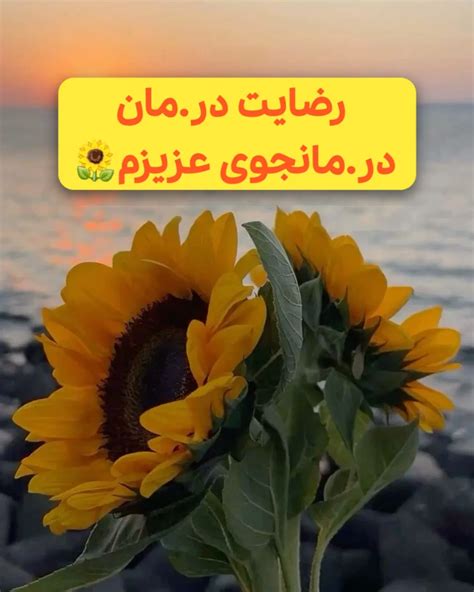 ‎مشکلات رحمیزگیــل تناسلیتبخال تناسلی‎ ‎زگیل هات اذیتت میکنن