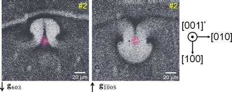 Color Online Synchrotron X Ray Topography Images Black And White Download Scientific Diagram