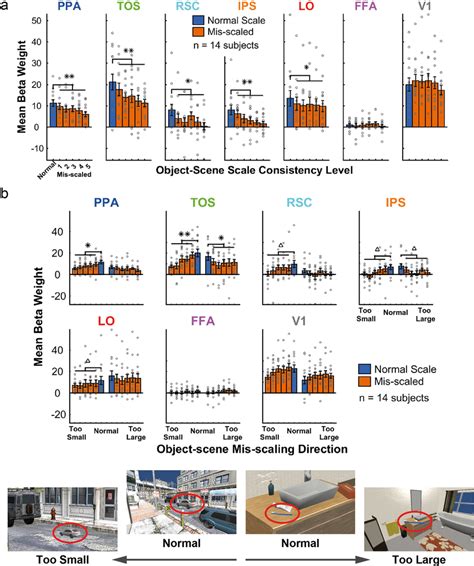 GLM Results Mean Beta Weights With SEM Error Bars A Across Download Scientific Diagram