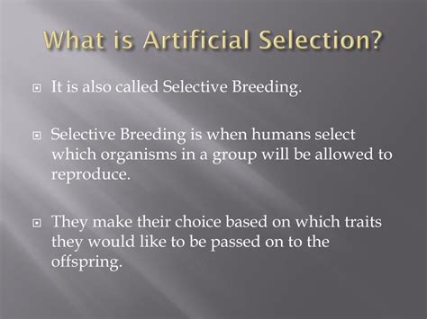 Ppt Artificial Selection Powerpoint Presentation Free Download Id