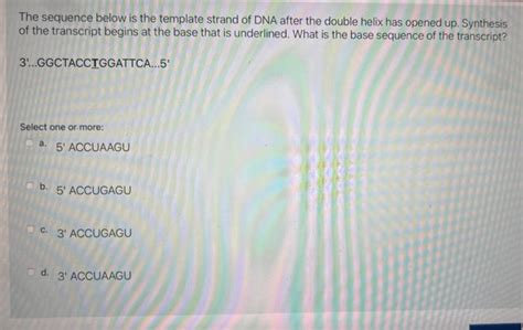 Solved The Sequence Below Is The Template Strand Of DNA Chegg Com