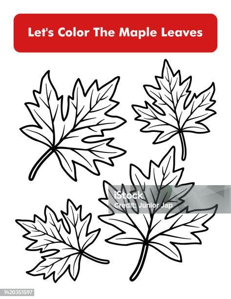 단풍 나무는 편지 페이지 크기로 색칠 공부 책 페이지를 떠납니다 어린이 색칠 워크 시트 프리미엄 벡터 요소 0명에 대한 스톡 벡터 아트 및 기타 이미지 Istock