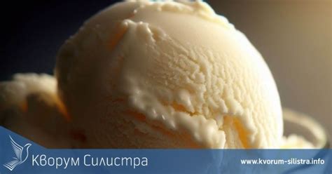 Агенцията по храните с извънредни проверки в обектите за производство и търговия със сладолед