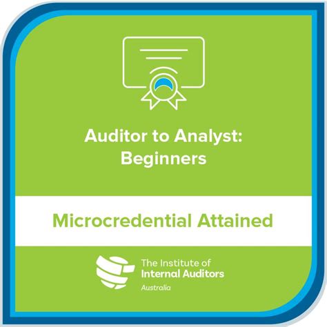 Excited To Share That I Have Completed My Auditor To Analyst Training
