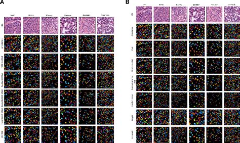 figure 6 from densely convolutional spatial attention network for