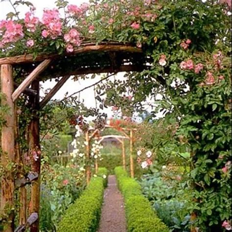 能养在水里的竹子，不仅能净化空气，还能缓解眼疲劳，爱了！