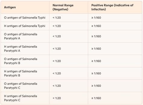 Typhoid Test Report Format Simplified Templates For Pathology Labs In 2024