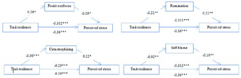 The Mediation Model Testing Cognitive Emotion Regulation As A Mediating