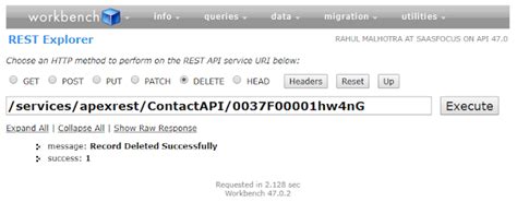 salesforce integration tutorial part 4 exploring delete method sfdc stop