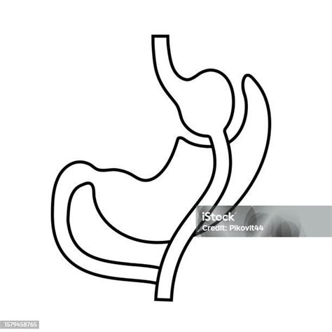 Gastric Bypass Surgery Stock Illustration Download Image Now