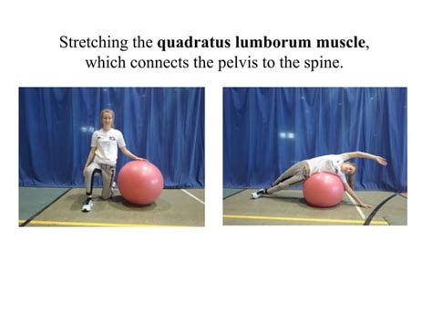 Exercises For Spine Guide 1 Stretching And Mobilization Ppt Free Download