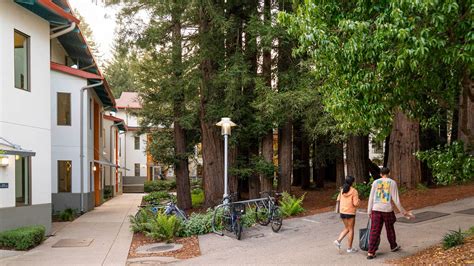 Cowell Programs Cowell College