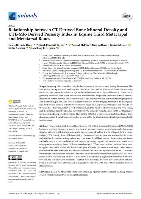 Pdf Relationship Between Ct Derived Bone Mineral Density And Ute Mr