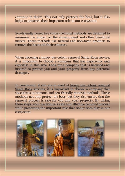 Ppt The Importance Of Humane Honey Bee Colony Removal Santa Rosa