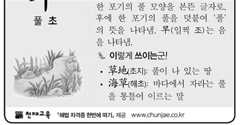 [하루에 하나씩 한자]자연과 관계있는 한자 草 풀 초