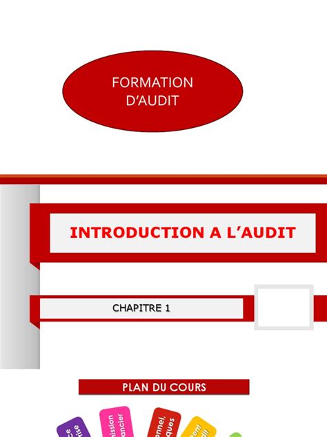 Introduction Audit Pdf