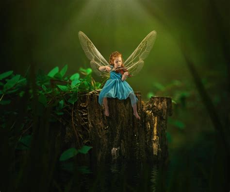 Tree Stump Digital Background Etsy