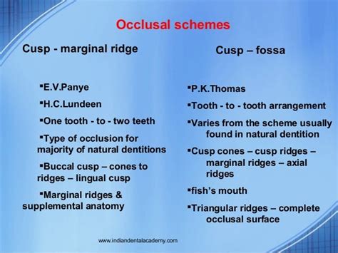 funl occlusal wax dental courses