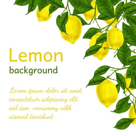 Lemon Border Vector Art Icons And Graphics For Free Download