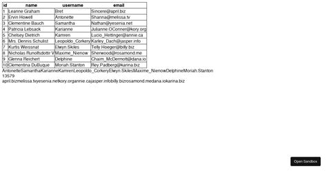 Userdata With Name Email Codesandbox