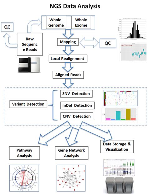 Genomic Complexity Data Analytics Techniques For Next Generation