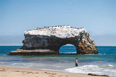 9 Top Hikes In Santa Cruz