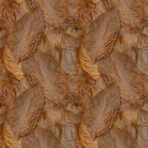 Tobbaco Leaf 22 Pattern Crew