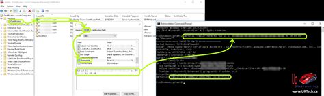 Solved New Certificate Not Appearing In Iis Bindings Up And Running Inc Tech How Tos